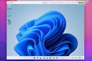 How To Run Older Software On Windows 11 - Hawkdive.com