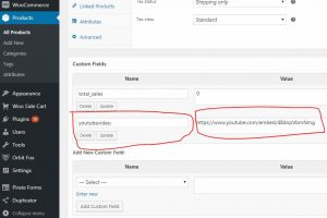 How to add YouTube Video in a custom tab on WooCommerce Product Page ...