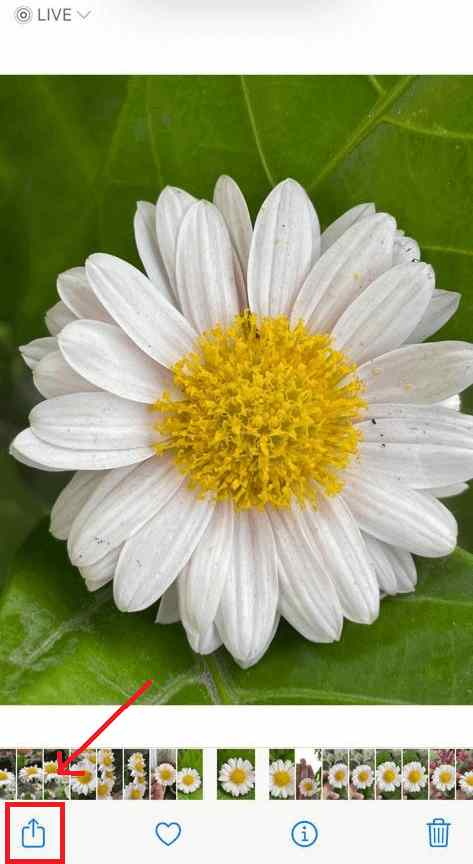 How To Use AirDrop On iPhone, iPad, iPod Touch ? - Hawkdive.com