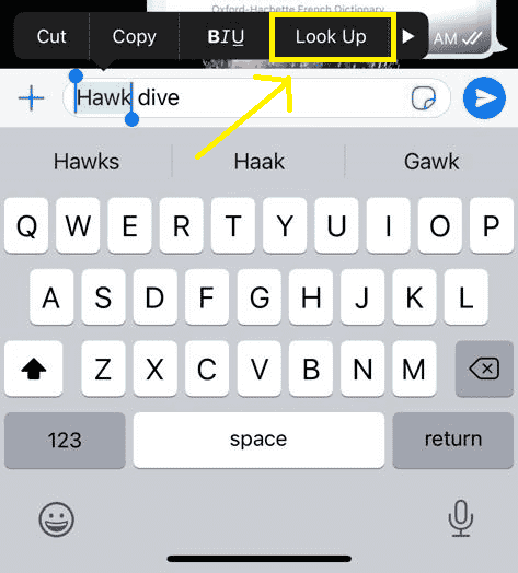 How To Use iPhone Built-in Dictionary? - Hawkdive.com