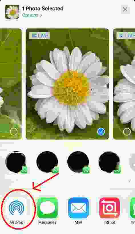 How To Use AirDrop On iPhone, iPad, iPod Touch ? - Hawkdive.com