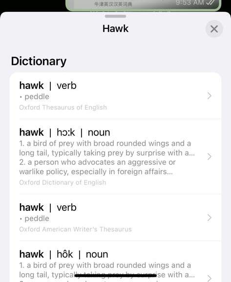 How To Use iPhone Built-in Dictionary? - Hawkdive.com