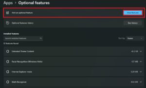 How To Install Or Uninstall VBScript Feature In Windows 11 - Hawkdive.com