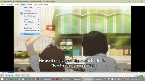 12 Best Free Tools To Capture Images From Video Files - Hawkdive.com