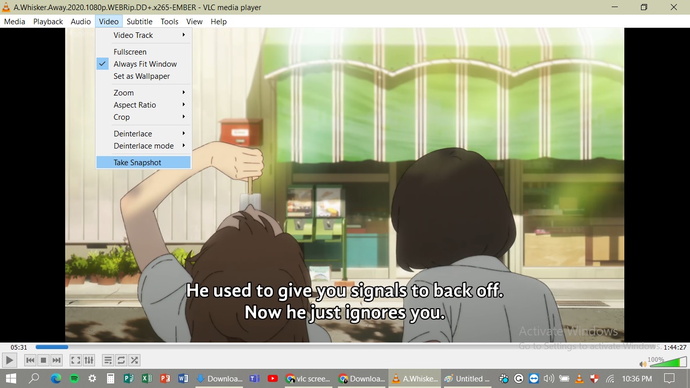 12 Best Free Tools To Capture Images From Video Files - Hawkdive.com