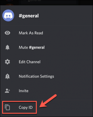 All About Developer Mode In Discord - Hawkdive.com