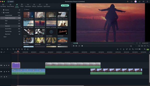 7 Common Issues With Filmora Wondershare 11 For Windows - Hawkdive.com