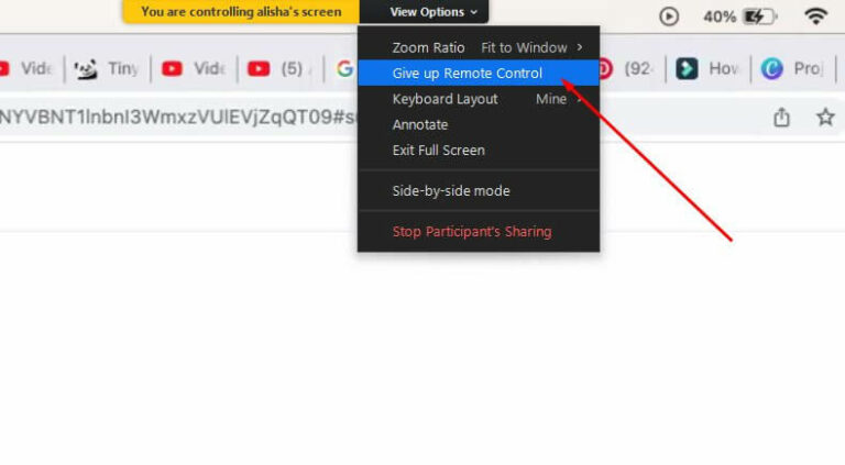 How To Control Computer Remotely Using Zoom? - Hawkdive.com