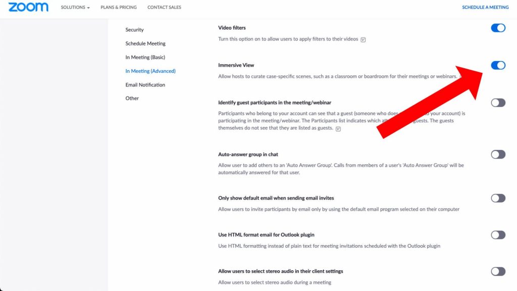 How To Use Immersive View In Zoom - Hawkdive.com