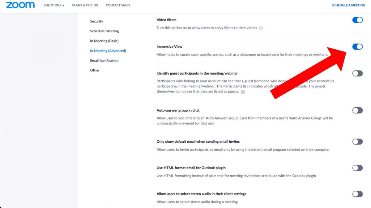 How To Use Immersive View In Zoom - Hawkdive.com