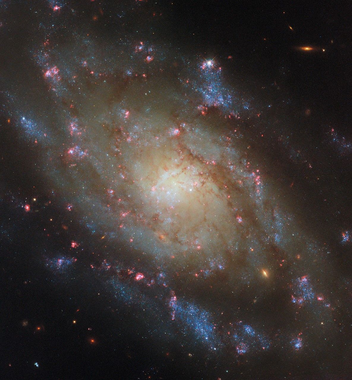 Hubble Observes Spiral Galaxy in Hydra Constellation - NASA Science - Hawkdive.com