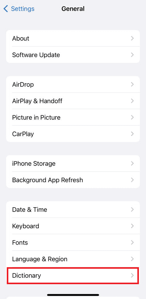 How To Use iPhone Built-in Dictionary? - Hawkdive.com