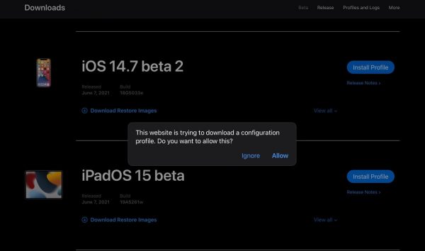 How To Install iPadOS 15 Beta On Your Compatible iPad - Hawkdive.com