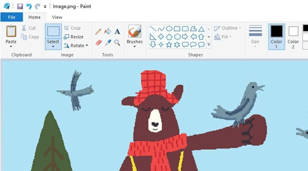 How To Use Microsoft Paint Background Removal Feature - Updated In 2023 ...