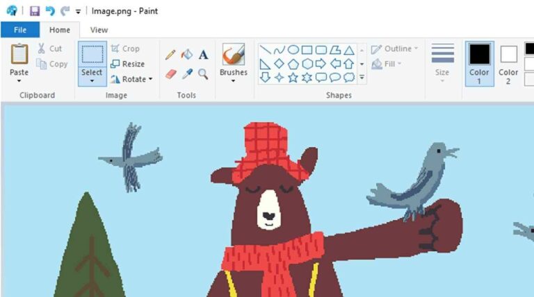 How To Use Microsoft Paint Background Removal Feature - Updated In 2023 ...