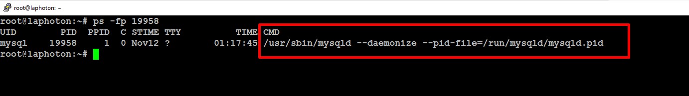 How to locate the Process ID files in Linux Top Command? - Hawkdive.com