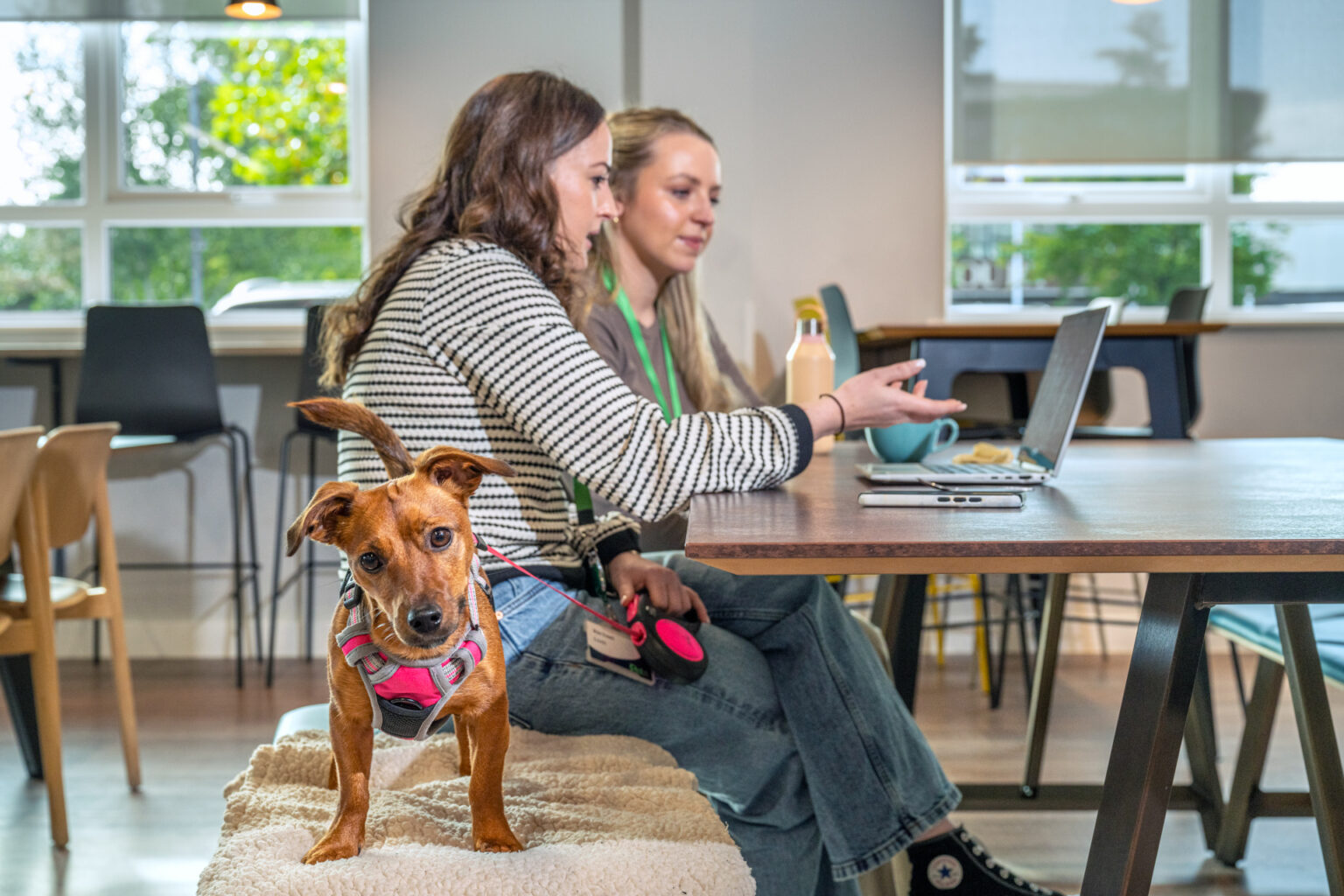 Pets at Home Launches AI Revolution with Copilot Agents - Hawkdive.com