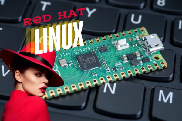 Top Essential Terminal Commands Every Ubuntu User Should Know ...