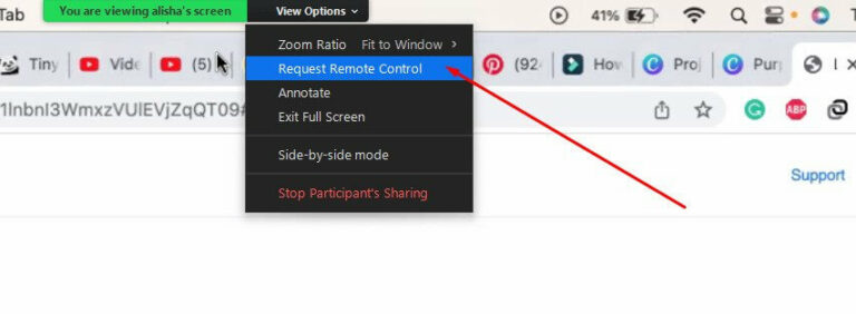 How To Control Computer Remotely Using Zoom? - Hawkdive.com