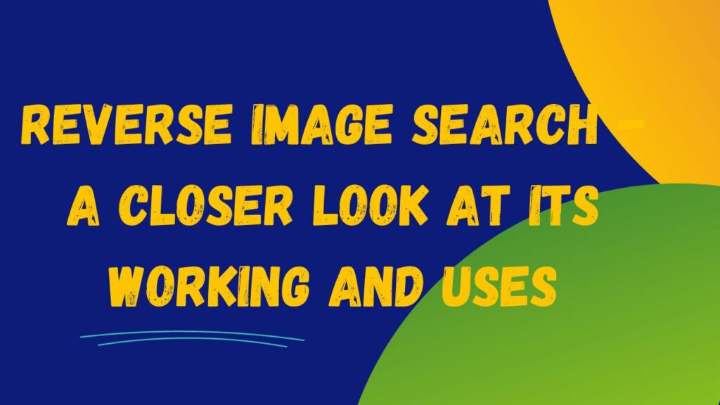 reverse image search