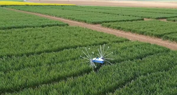 12 Coolest AI Inventions Of 2023 - Hawkdive.com