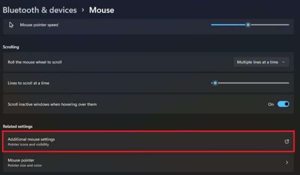 How To Turn On or Off Hide Pointer While Typing in Windows 11 ...