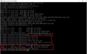 Mastering Ubuntu Commands: A Detailed Guide Lession - 2 - Hawkdive.com