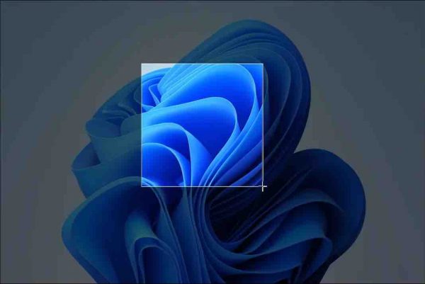 7 Ways To Take Screenshot In Windows 11 - Hawkdive.com