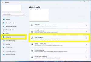 How To Remove Fingerprint Recognition Sign-in In Windows 11 - Hawkdive.com