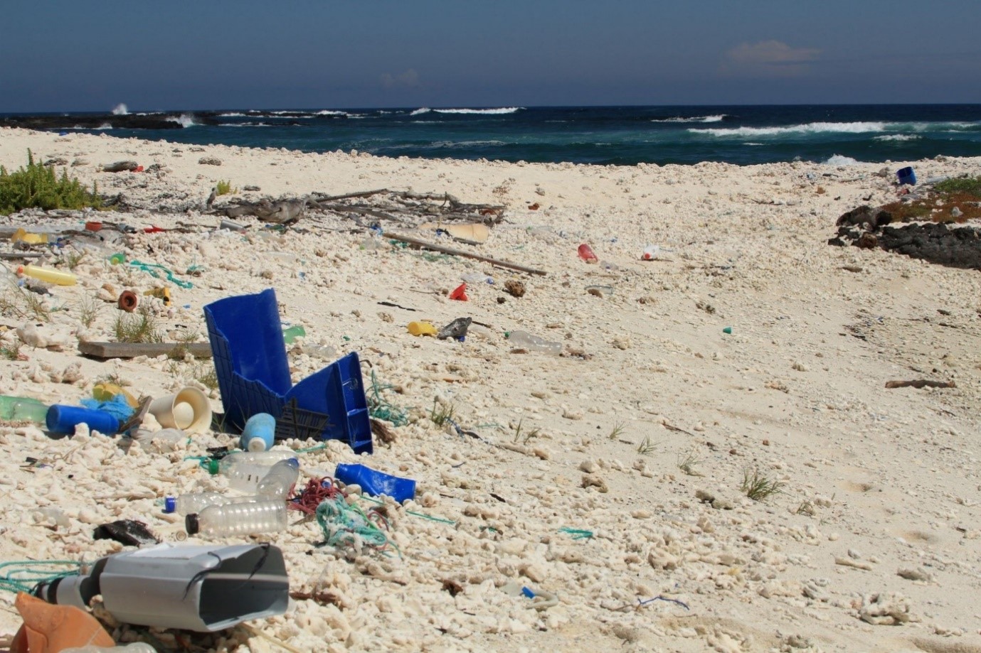 NUTEC Plastics Project Safeguards Galapagos Biodiversity - Hawkdive.com